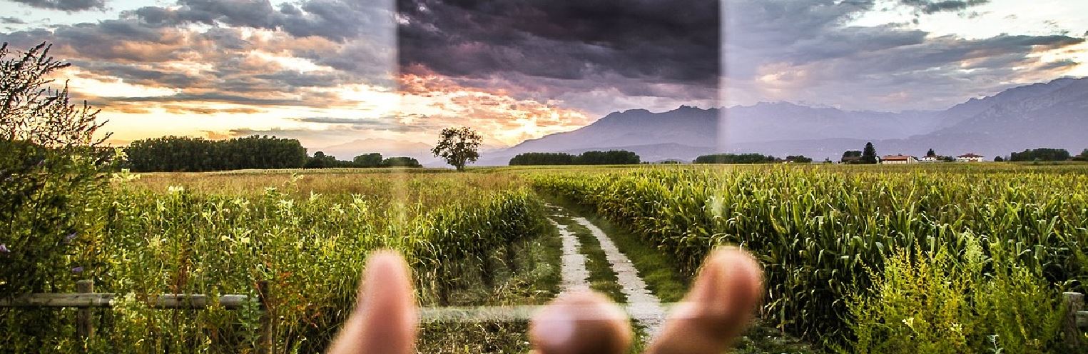 Welcome to the FFA’s Annual 5 ECTS Summer School: ‘Transformative ...